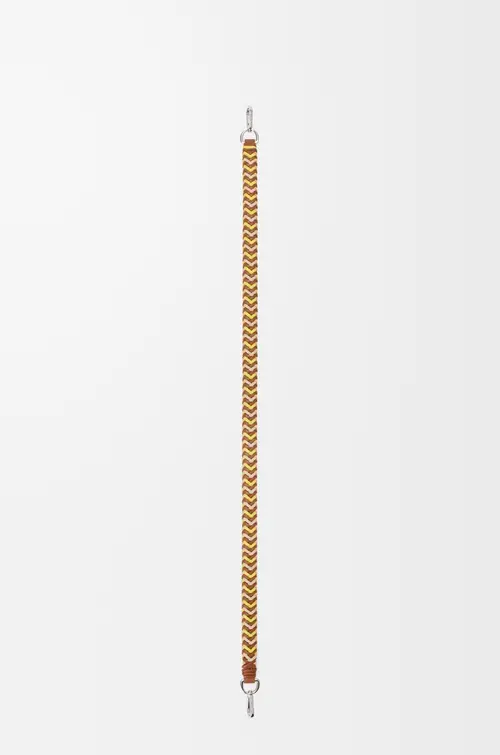 Loewe Woven Strap In Leather - Multicolor/pecan