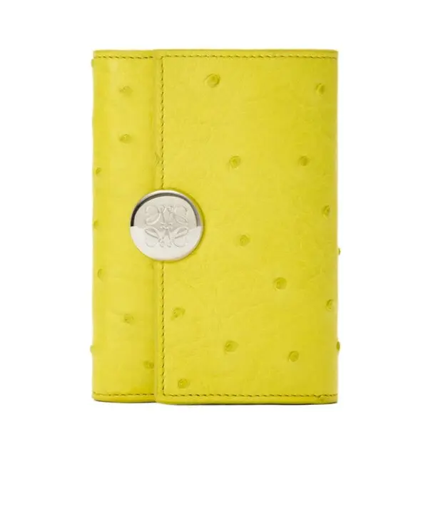Loewe Pebble Small Vertical Wallet In Ostrich