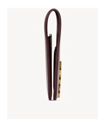 Saint Laurent Voltaire Passport Case In Box