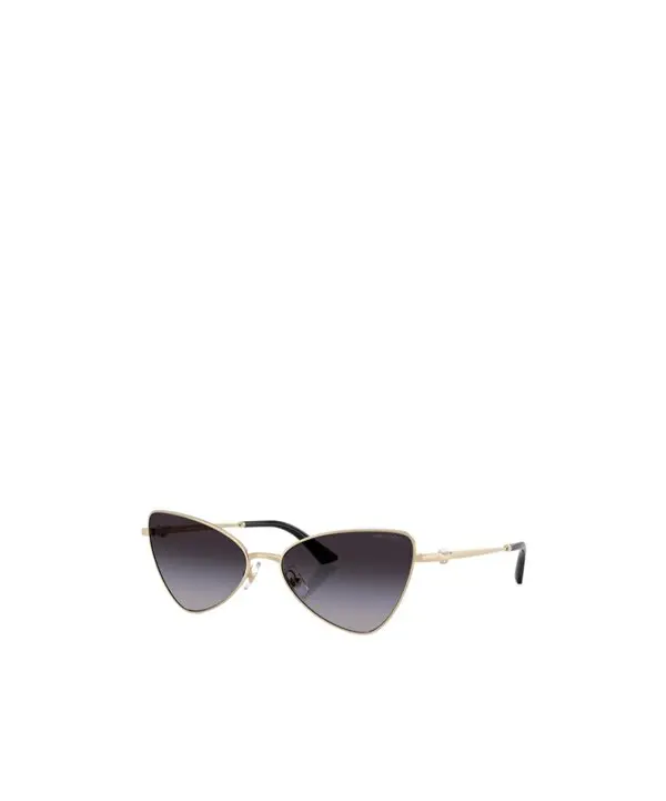 JIMMY CHOO Cat Eye Full Rim Sunglasses