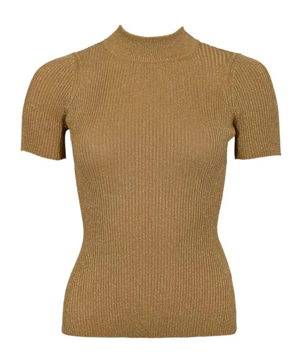 Max Mara Spezie Ribbed Short-sleeve Top - Brown