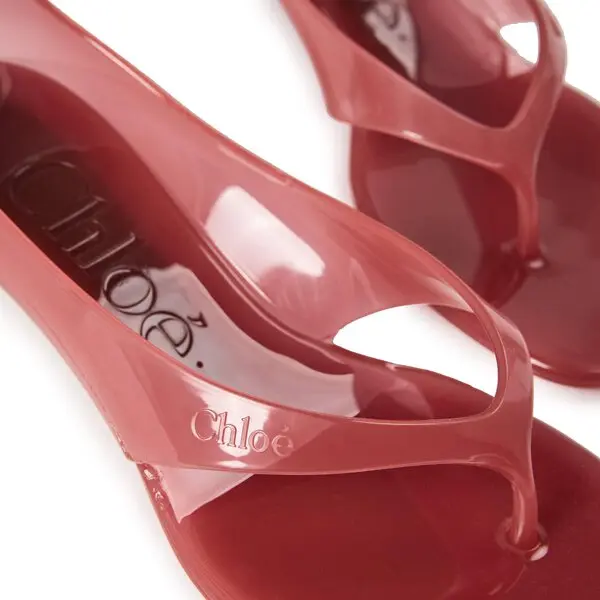Chloé Flat Sandals With Ankle Strap - Pink