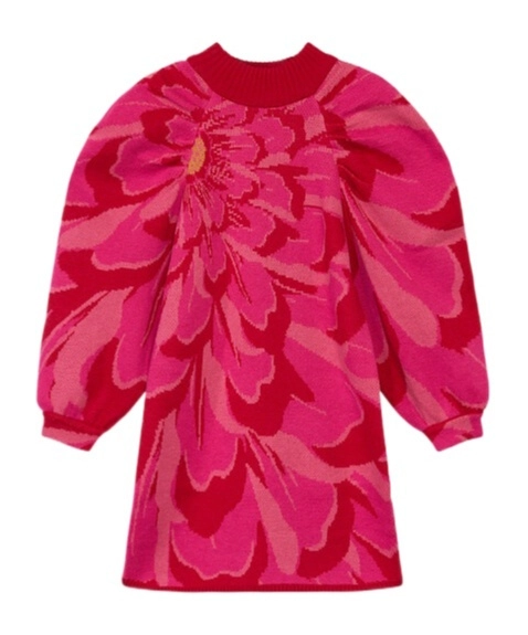 Farm Rio Long Sleeve Printed Knit Dress