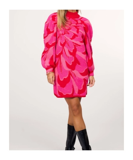 Farm Rio Long Sleeve Printed Knit Dress