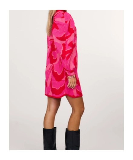 Farm Rio Long Sleeve Printed Knit Dress
