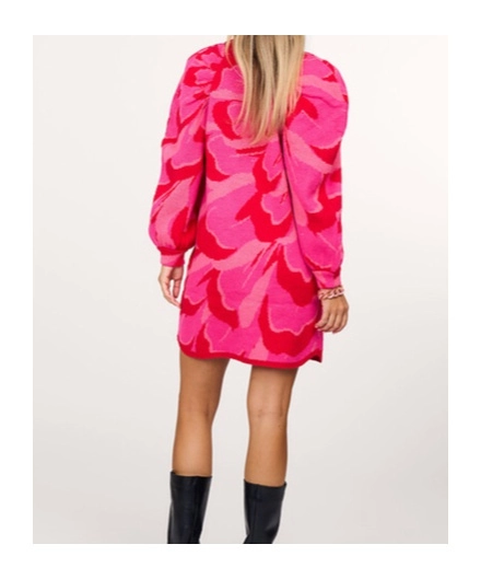 Farm Rio Long Sleeve Printed Knit Dress