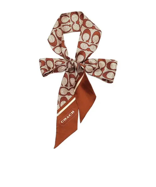 COACH Printed Silk Scarf - Brown