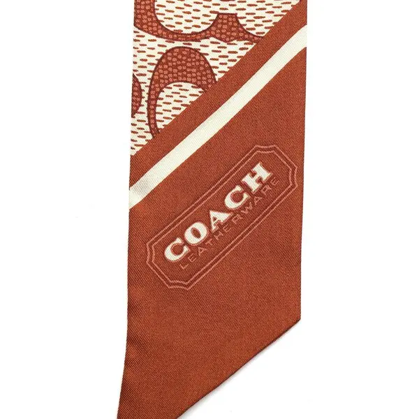 COACH Printed Silk Scarf