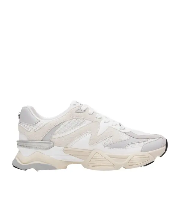 Steve Madden Color Blocked Sneakers