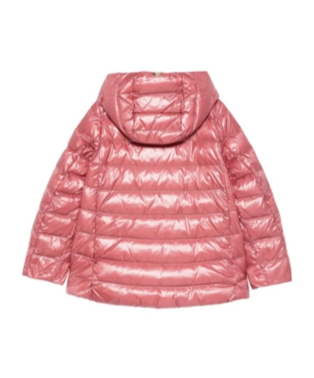 Herno Padded Hooded Jacket