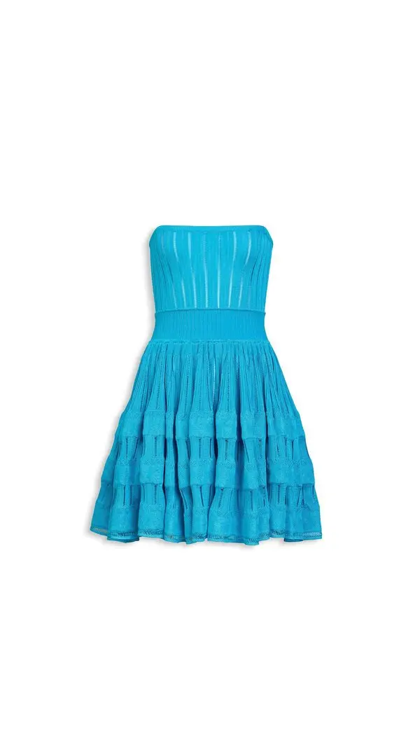 Alaïa Shiny Crinoline Dress