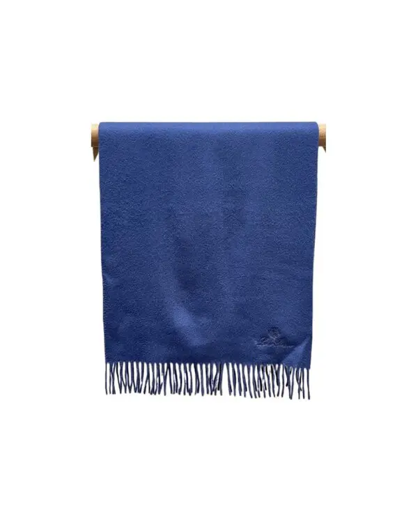 Loro Piana Cashmere Fringed Scarf - Blue