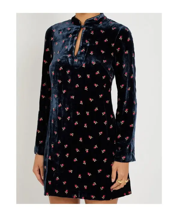 Rixo Calla Floral-embroidered Velvet Mini Dress