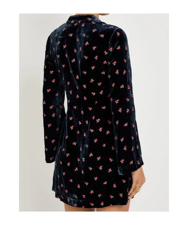 Rixo Calla Floral-embroidered Velvet Mini Dress