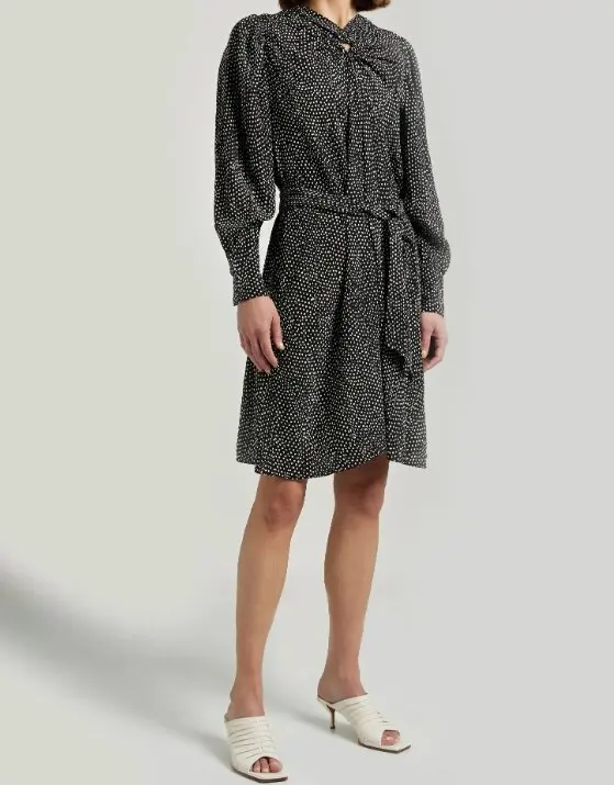 Isabel Marant Étoile Polka Dot Silk Dress