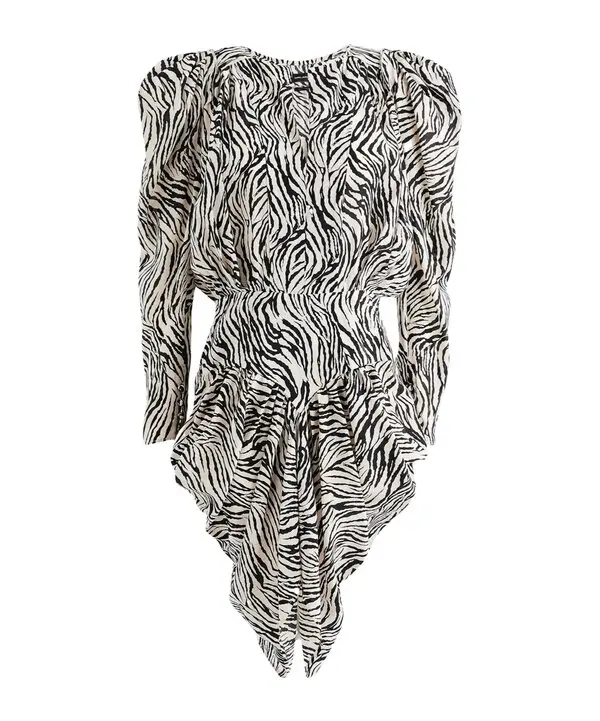 Isabel Marant Étoile Zebra Print V-neck Long Sleeve Dress