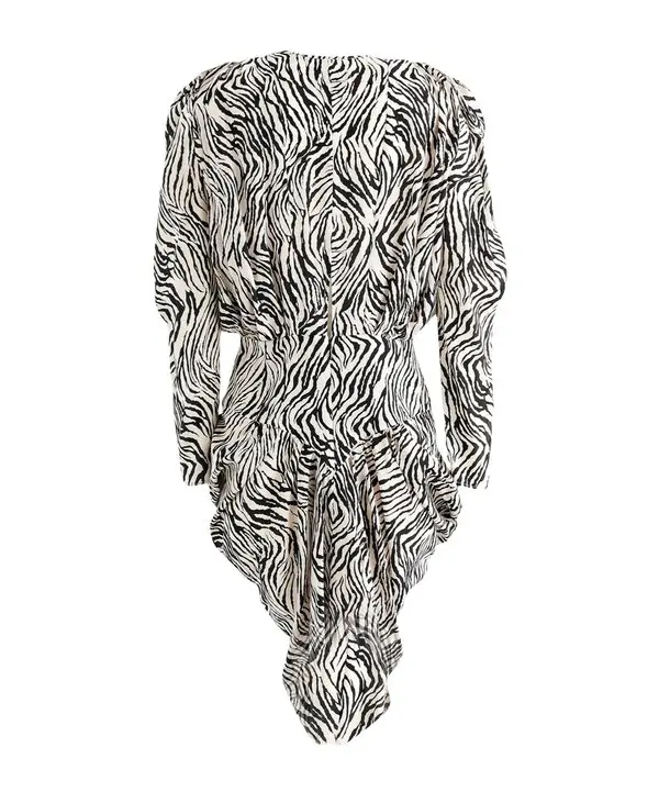 Isabel Marant Étoile Zebra Print V-neck Long Sleeve Dress