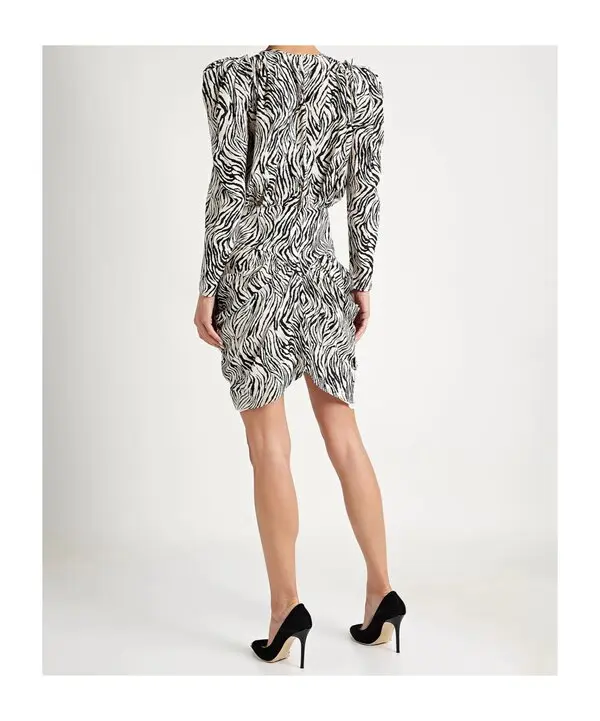 Isabel Marant Étoile Zebra Print V-neck Long Sleeve Dress