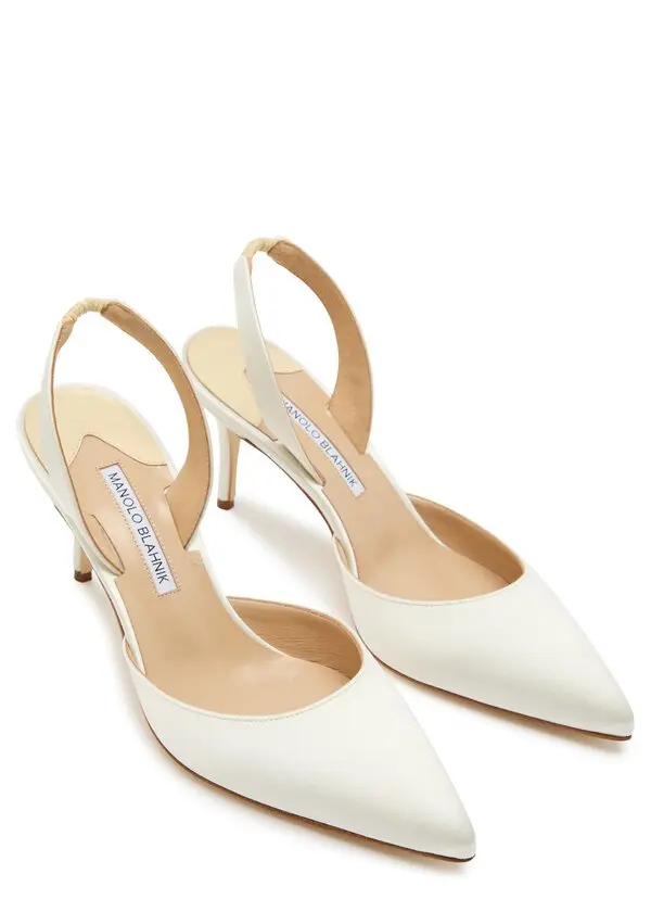 Manolo Blahnik Pointed-toe High Heels