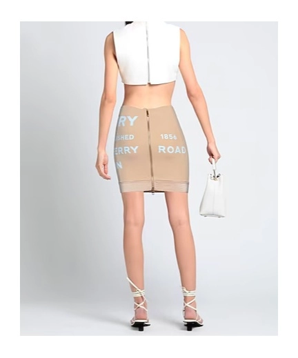 Burberry Mini Skirt