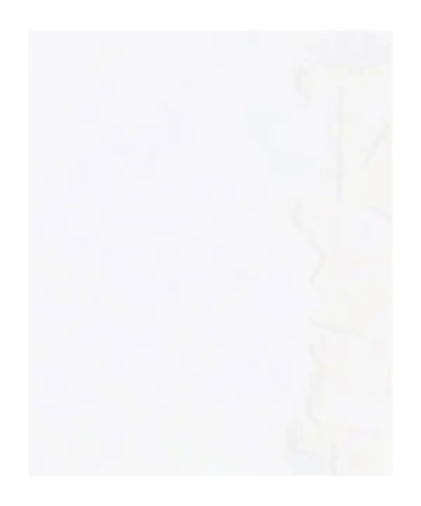 Max Mara Printed Short-sleeve T-shirt
