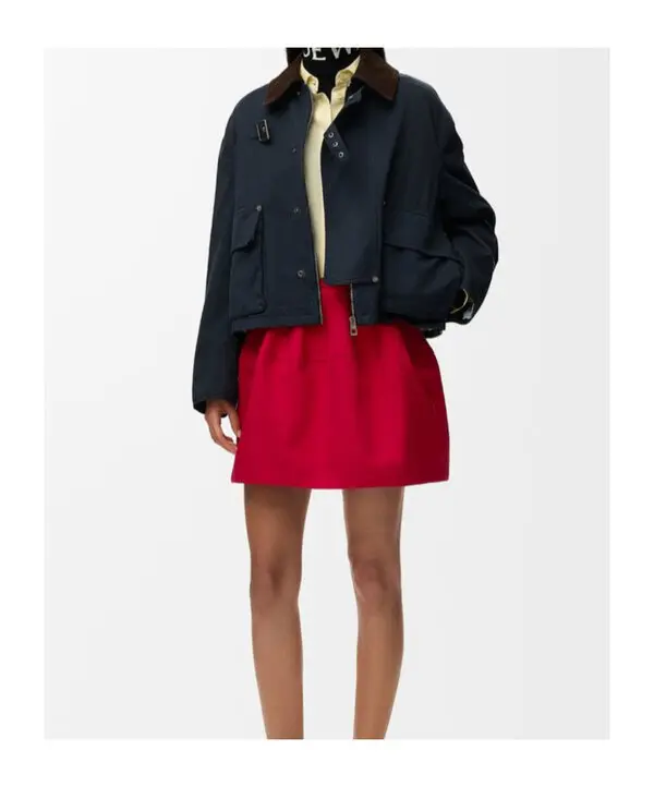 Loewe Balloon Skirt In Cotton And Silk