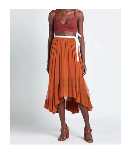 Chloé Midi Skirt