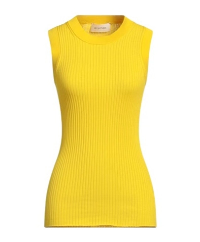 Sportmax Sleeveless Knitwear