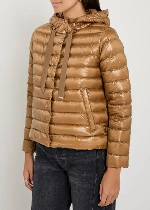 Herno Padded Nylon Jacket With Drawstring Hood - Brown