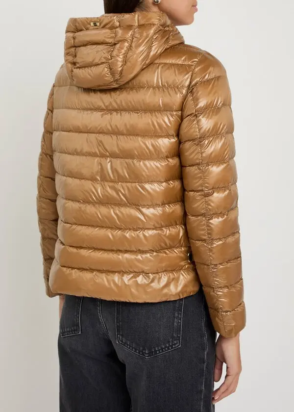 Herno Padded Nylon Jacket With Drawstring Hood - Brown