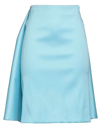 Sportmax Midi Skirt