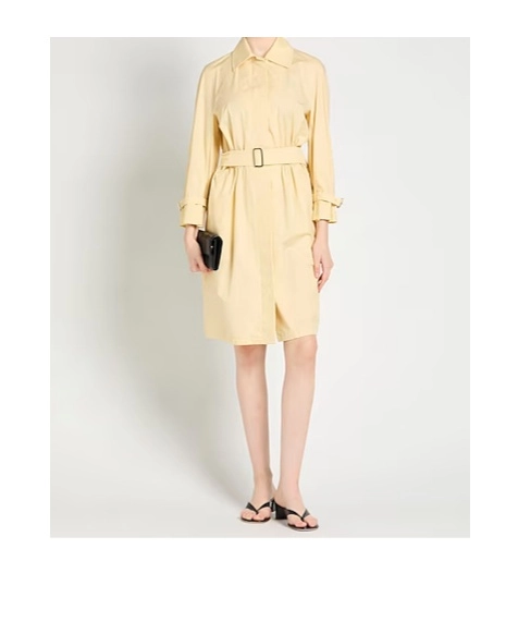 Max Mara Belted Shirt Dress