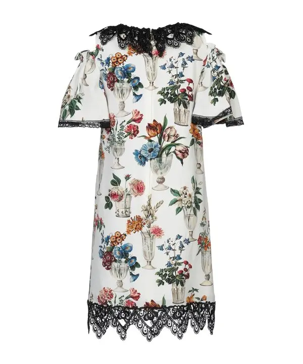 Dolce & Gabbana Floral-print Lace Trimmed Short Sleeve Dress