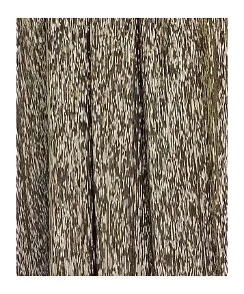 Chloé Short Dress