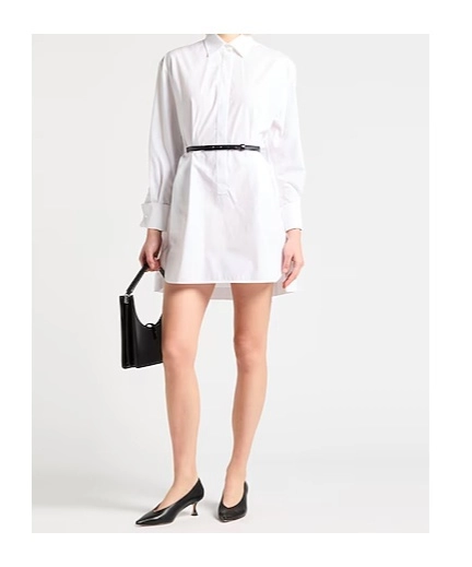 Max Mara Shirt Dress With Belt