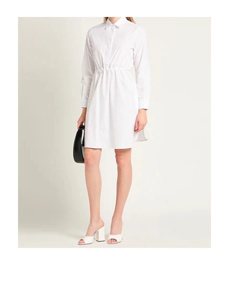 Max Mara Shirt Dress