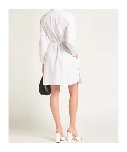 Max Mara Shirt Dress