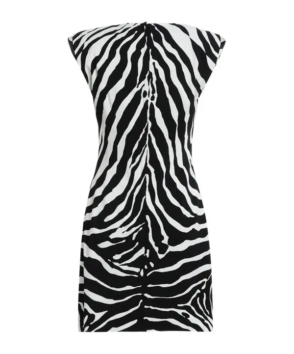 Dolce & Gabbana Zebra Print Fitted Dress