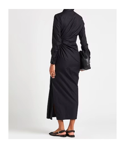 Max Mara Long Sleeve Pleated Shirt Dress