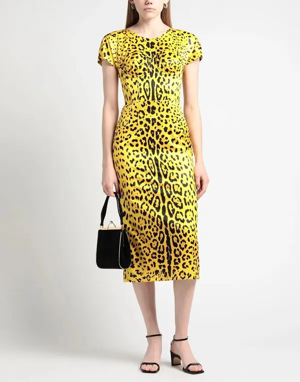 Dolce & Gabbana Midi Dress