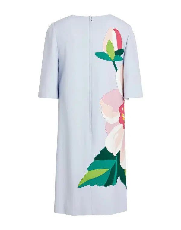 Dolce & Gabbana Floral Print Flared Dress