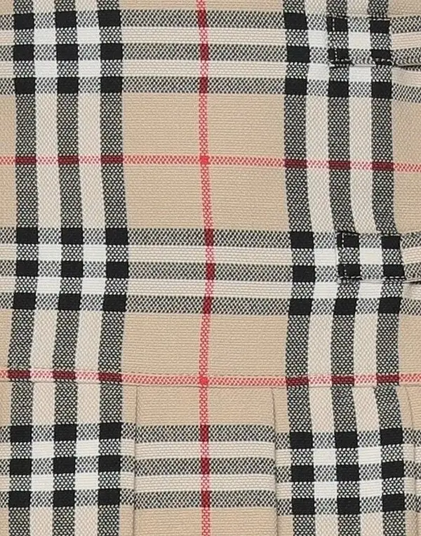 Burberry Mini Skirt