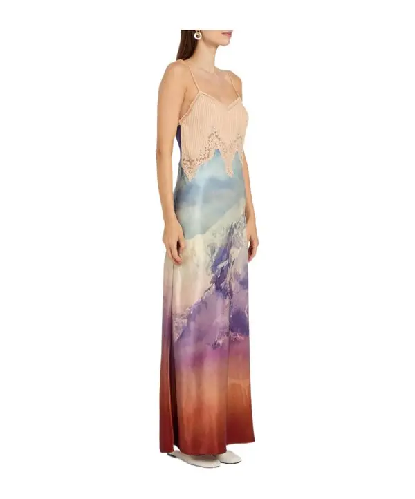 Gabriela Hearst Printed Lace And Silk Maxi Dress