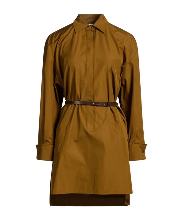 Max Mara Long Sleeve Shirt Dress