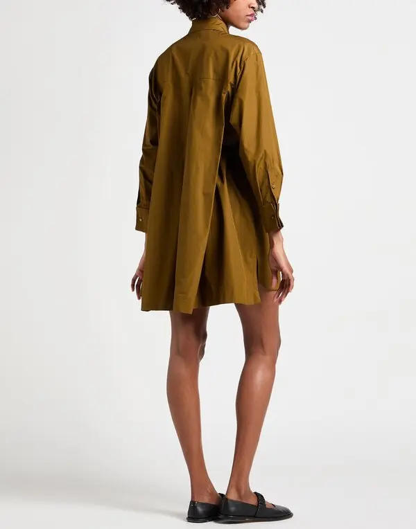 Max Mara Long Sleeve Shirt Dress
