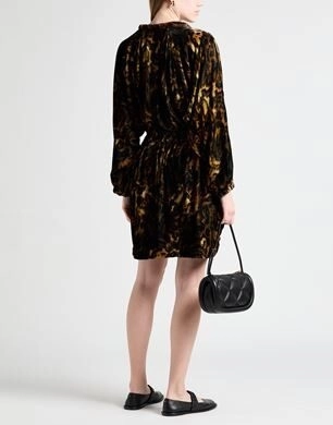 Isabel Marant Étoile Leopard Print Velvet Long-sleeve Dress