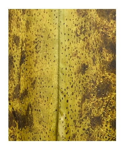 Rick Owens Chiffon Long Sleeve Top