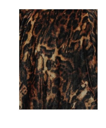 Isabel Marant Étoile Leopard Print Velvet Cropped Long Sleeve Top