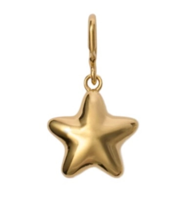 Burberry Star Charm
