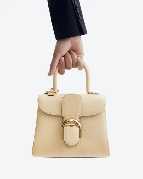Delvaux Brillant Mini Satchel Bag